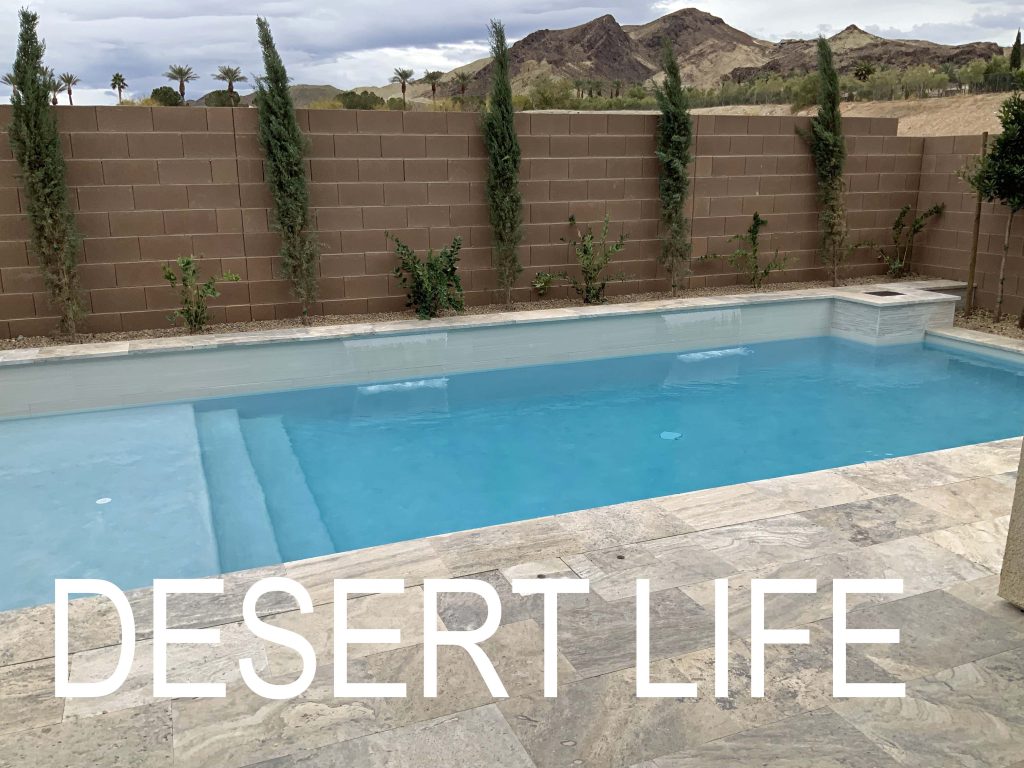 WEBAbraham1DESERT LIFE - Starlight Pools